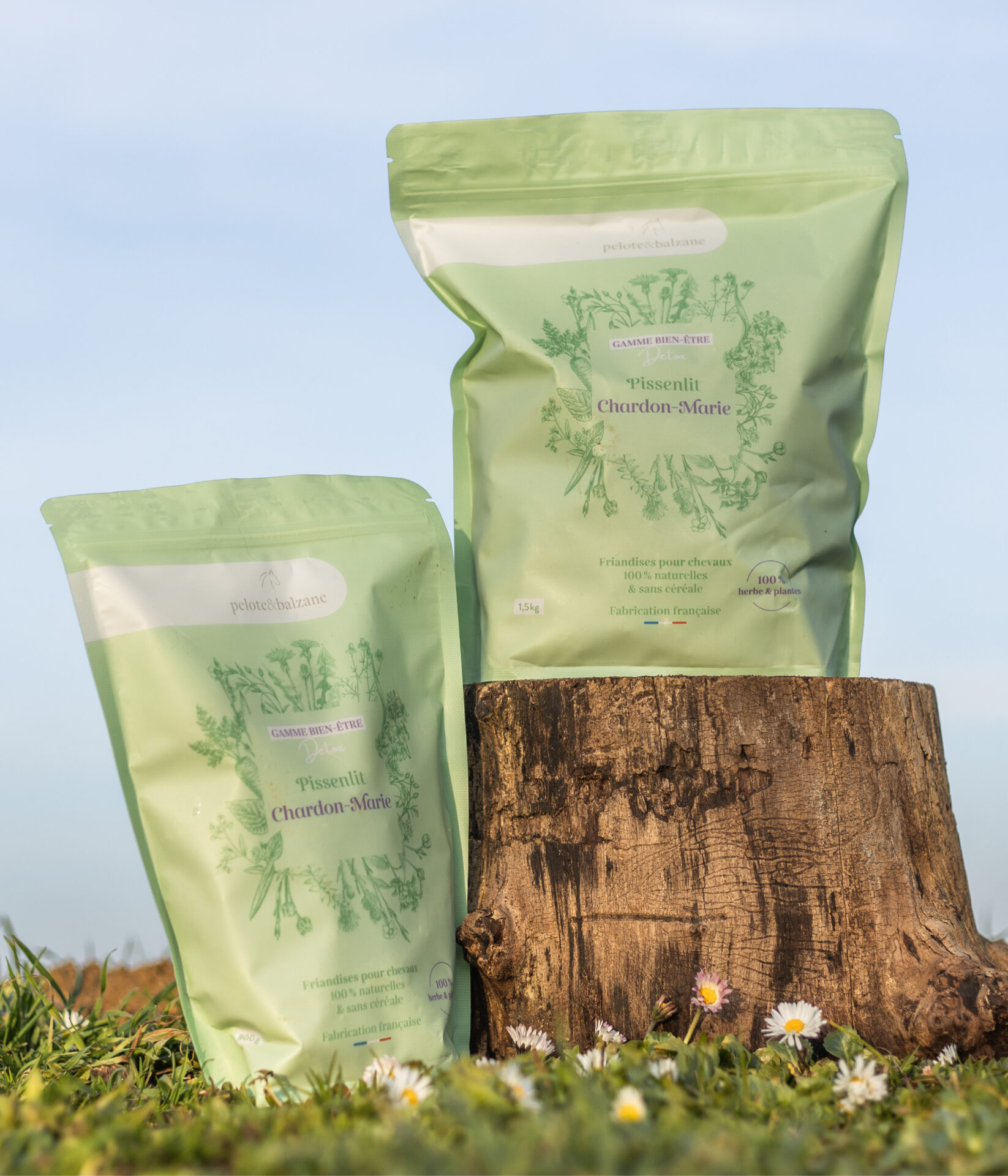 Friandises pour chevaux Détox - Pissenlit / Chardon-Marie – Pelote ...