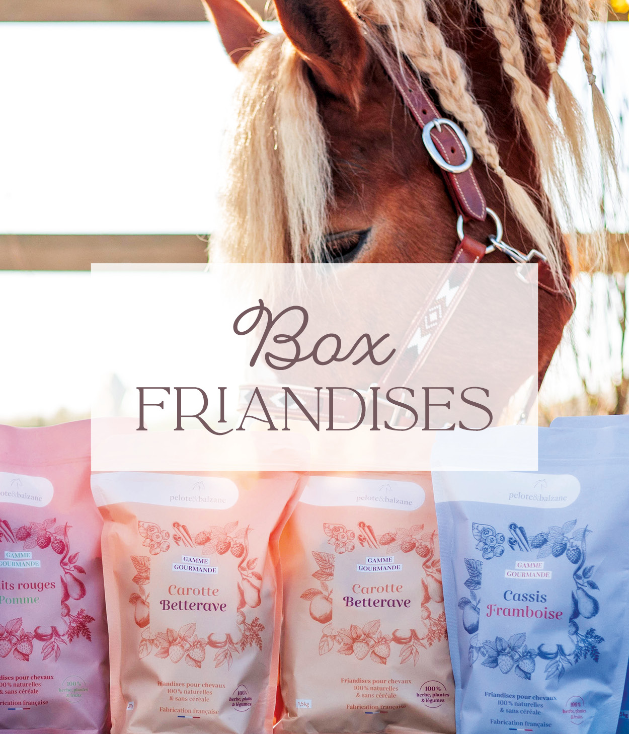 Abonnement 100% friandises (sans engagement) – Pelote & Balzane