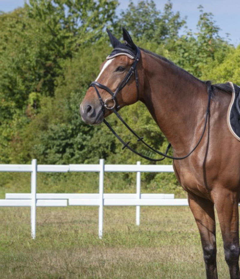 Box Ensemble Noir • Poney – Pelote & Balzane